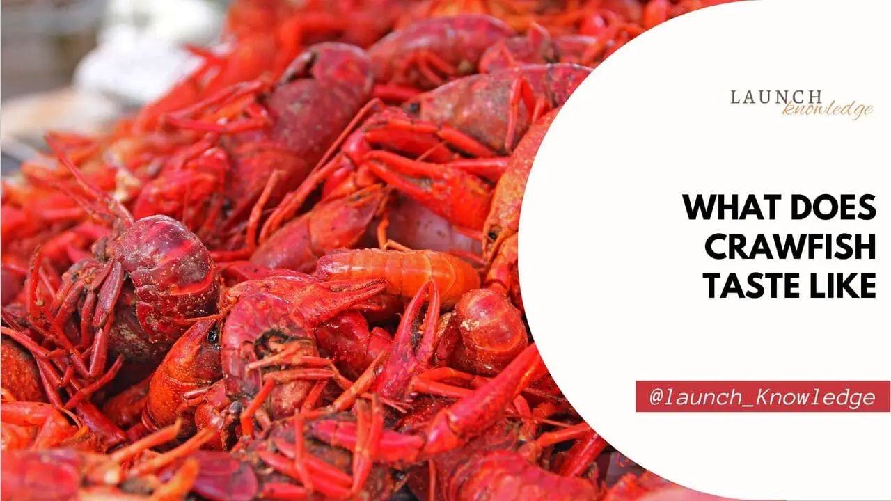 What Does Crawfish Taste Like