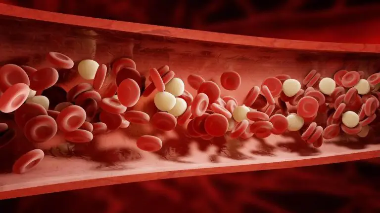 What Does Dried Blood Look Like